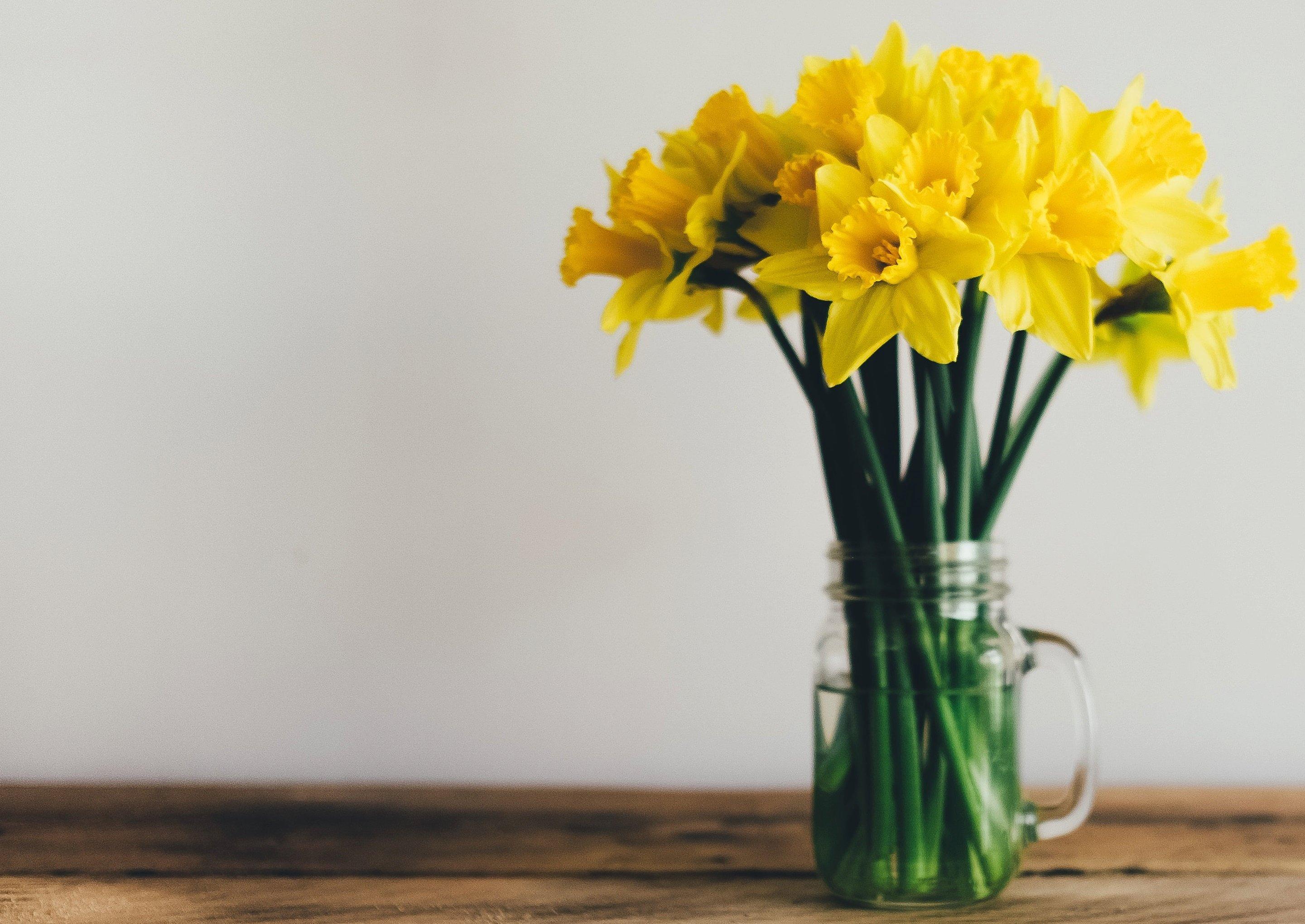 A Guide To The March Birth Flower | Flying Flowers